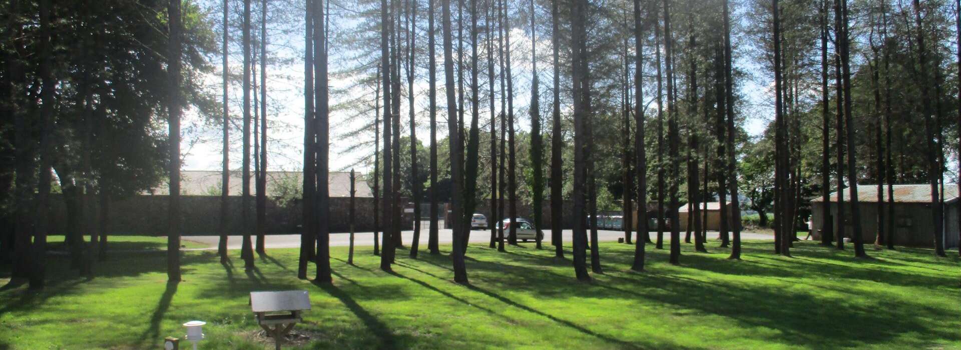 The Resort - Holiday Lodges and Leisure Club