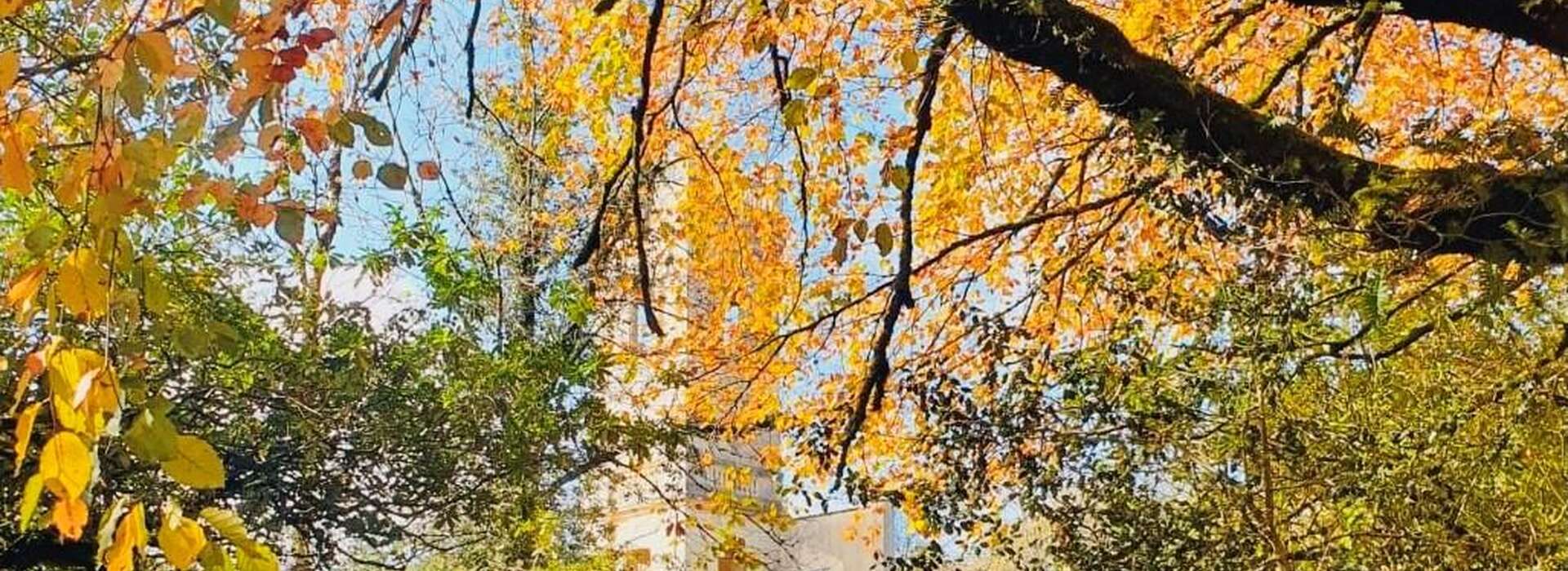 Pantglas Hall - Holiday Lodges and Leisure Club - Croeso / Welcome