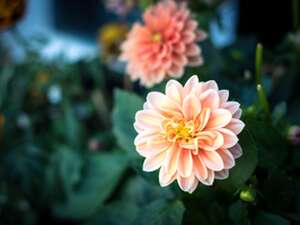 Gallery - Barbon Inn, Hotel in Nr Kirkby Lonsdale